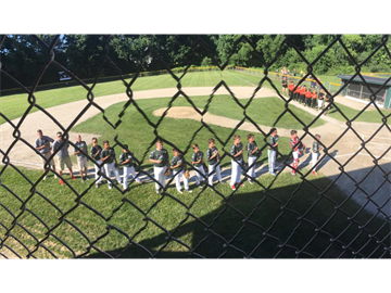 Home [www.websterlittleleague.com]